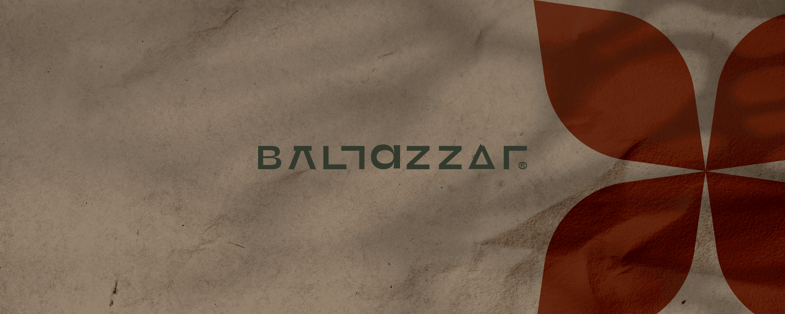 Formulário | BALTAZZAR