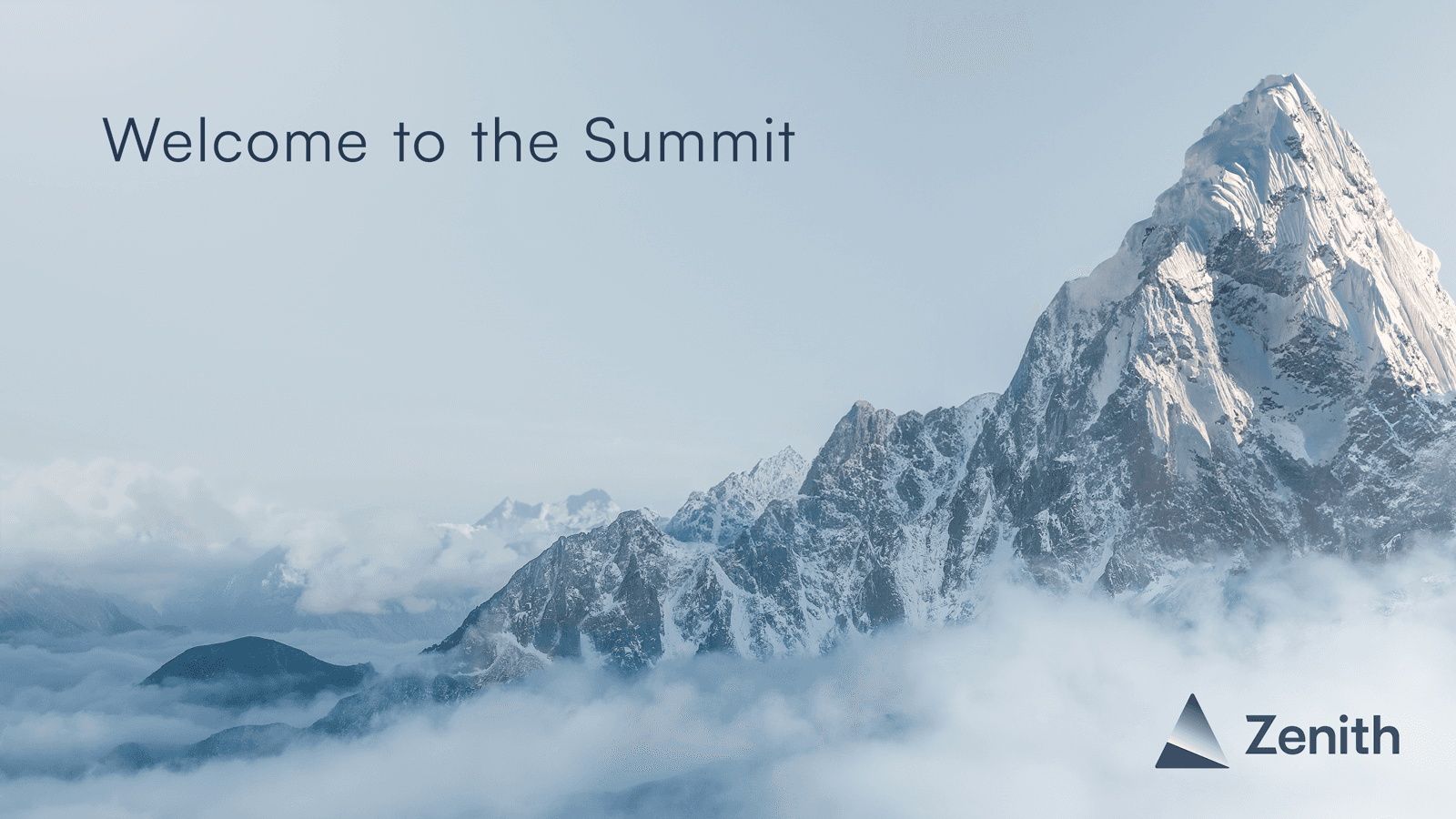 Request a Zenith Audit