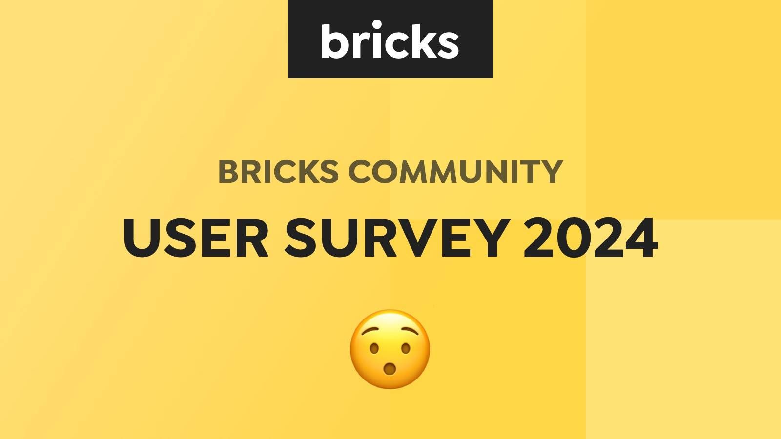 BRICKS USER SURVEY 2️⃣0️⃣2️⃣4️⃣